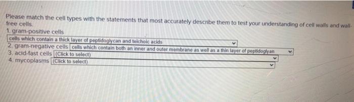 Solved Please match the cell types with the statements that | Chegg.com