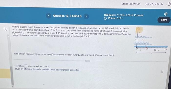 Solved Homing pigoons avoid fiying over water. Suppose a | Chegg.com