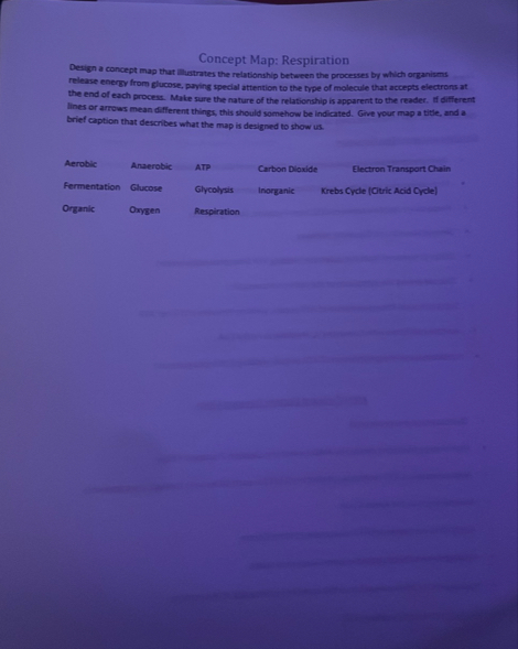 Solved Concept Map: RespirationDerign a concept map that | Chegg.com