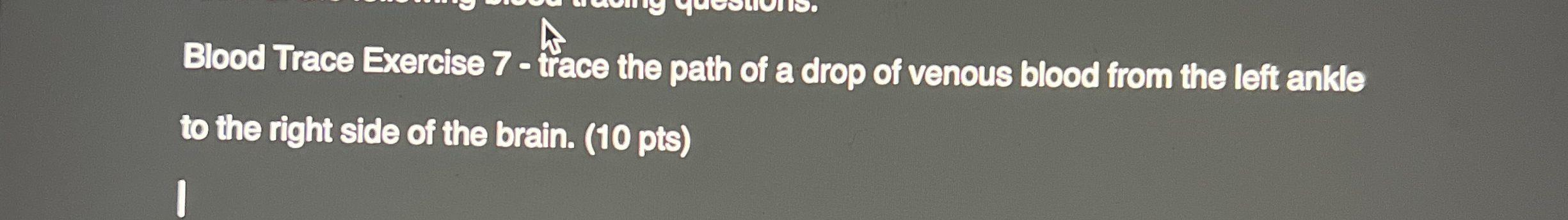 Solved Blood Trace Exercise 7 - ﻿thace the path of a drop of | Chegg.com