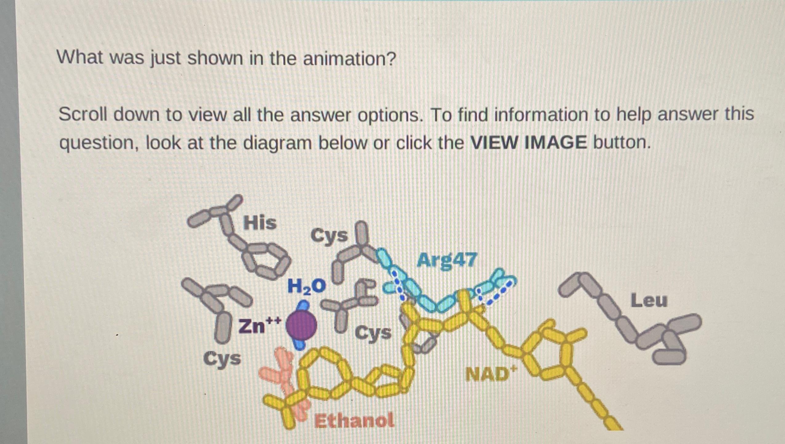 Solved What was just shown in the animation?Scroll down to | Chegg.com