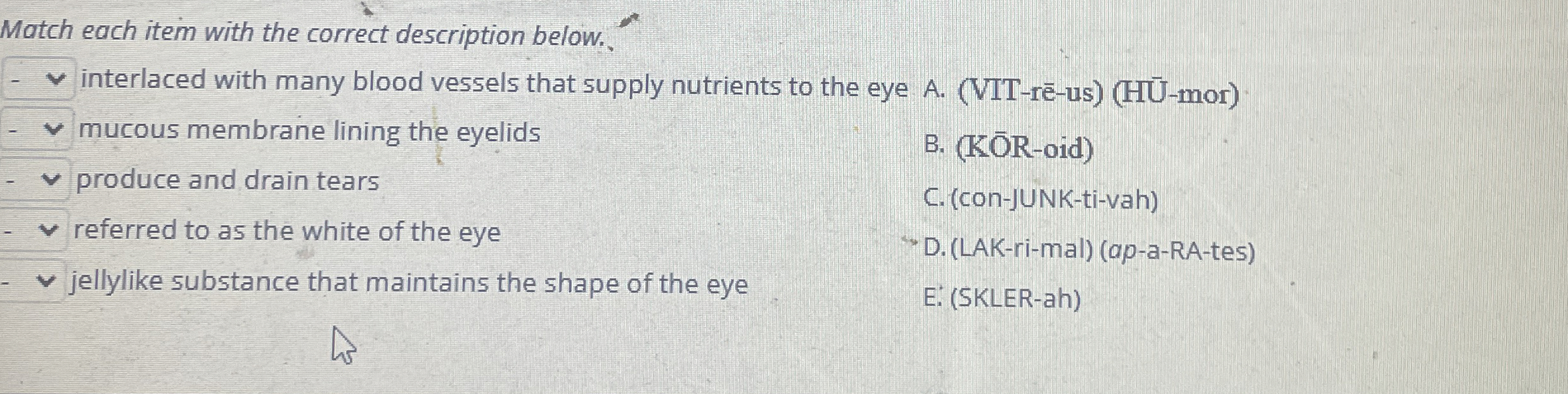 Solved Match each item with the correct description below. | Chegg.com