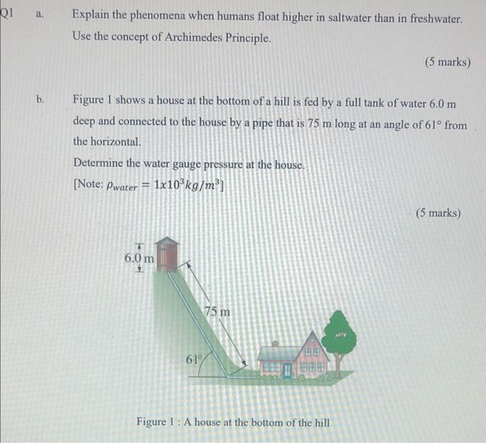 Solved Q1 a. Explain the phenomena when humans float higher | Chegg.com