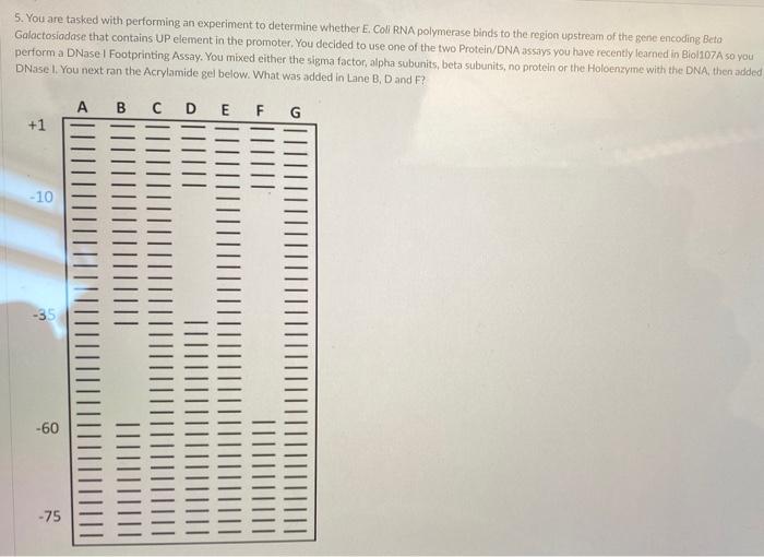 Solved 5. You are tasked with performing an experiment to | Chegg.com