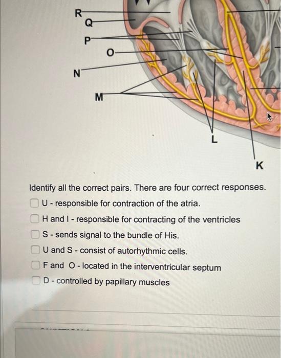 Solved Identify all the correct pairs. There are four | Chegg.com