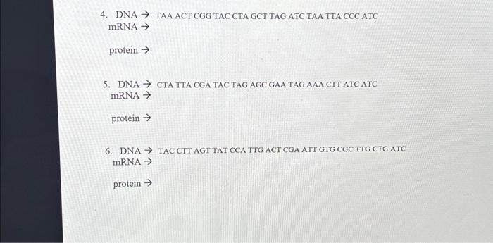 Use your codon chart to determine the amino acid | Chegg.com
