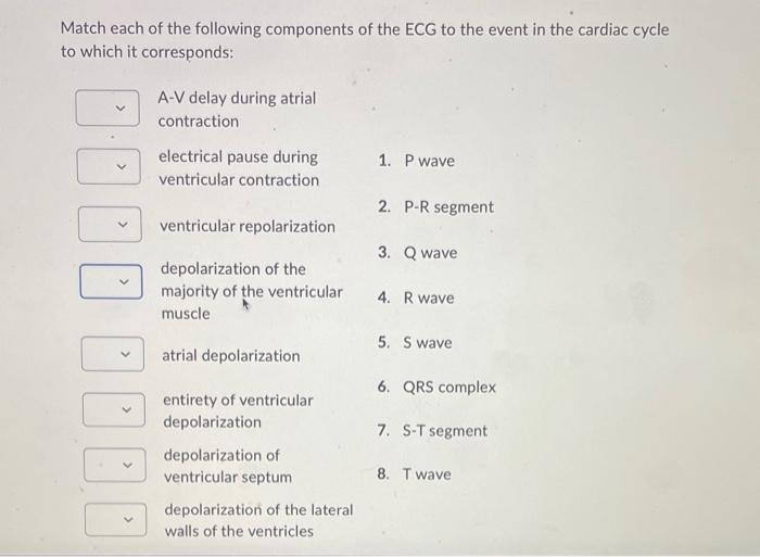 Match each of the following components of the ECG to | Chegg.com