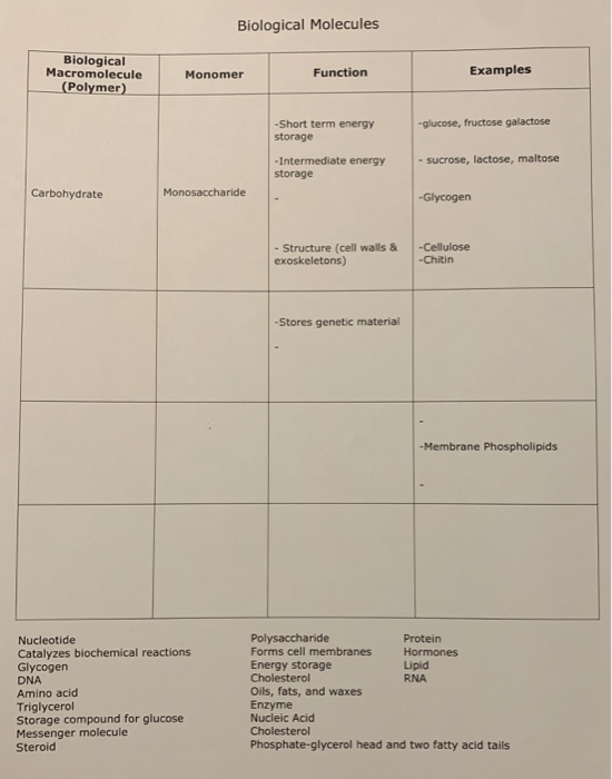Solved Biological Molecules Biological Macromolecule | Chegg.com