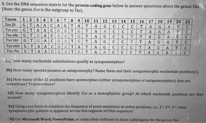 Solved 3. Use the DNA sequence matrix for the protein-coding | Chegg.com