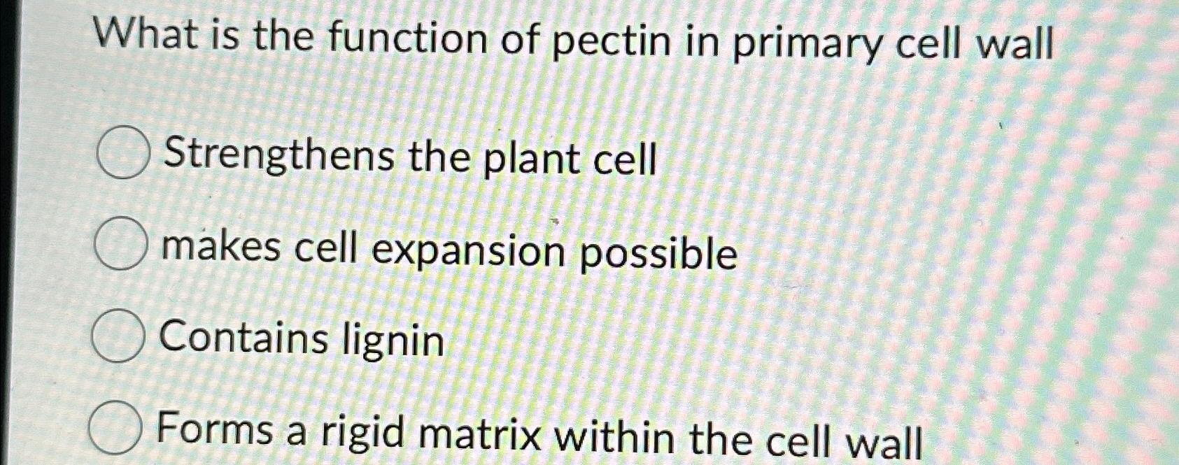 Solved What is the function of pectin in primary cell | Chegg.com