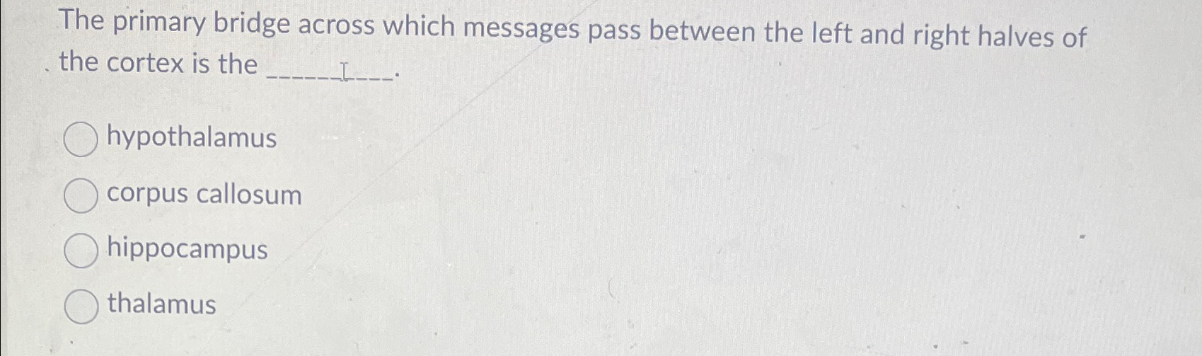 Solved The primary bridge across which messages pass between | Chegg.com