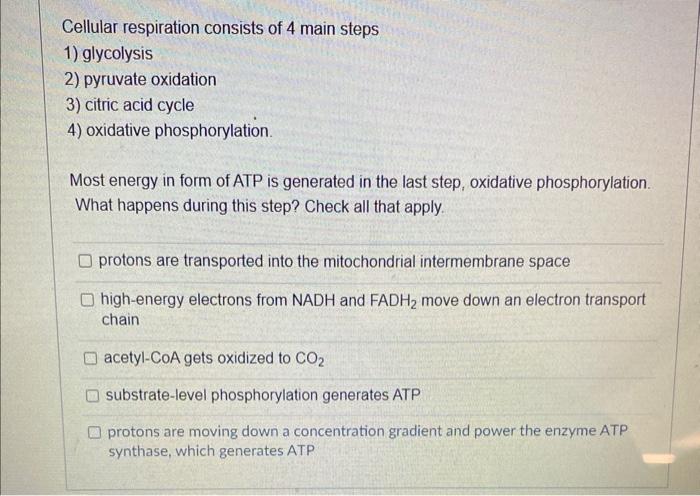 Solved Cellular respiration consists of 4 main steps 1) | Chegg.com