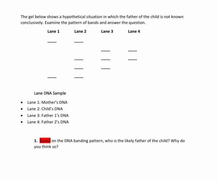 Solved Part 2 of 5: Digesting DNA Digesting DNA before gel | Chegg.com
