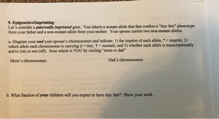 Solved 9. Epigenetics/Imprinting Let's consider a paternally | Chegg.com