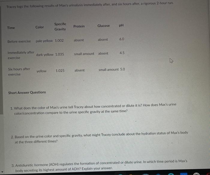 Solved Max s Maximum A Case Study On The Urinary System It Chegg