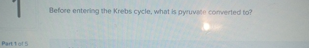 Solved Before entering the Krebs cycle, what is pyruvate | Chegg.com
