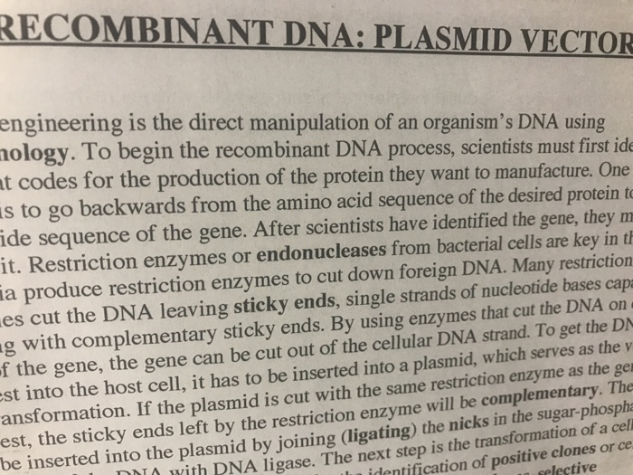 Solved RECOMBINANT DNA: PLASMID VECTOR engineering is the | Chegg.com