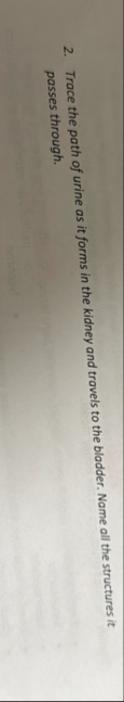 Solved Trace the path of urine as it forms in the kidney and | Chegg.com