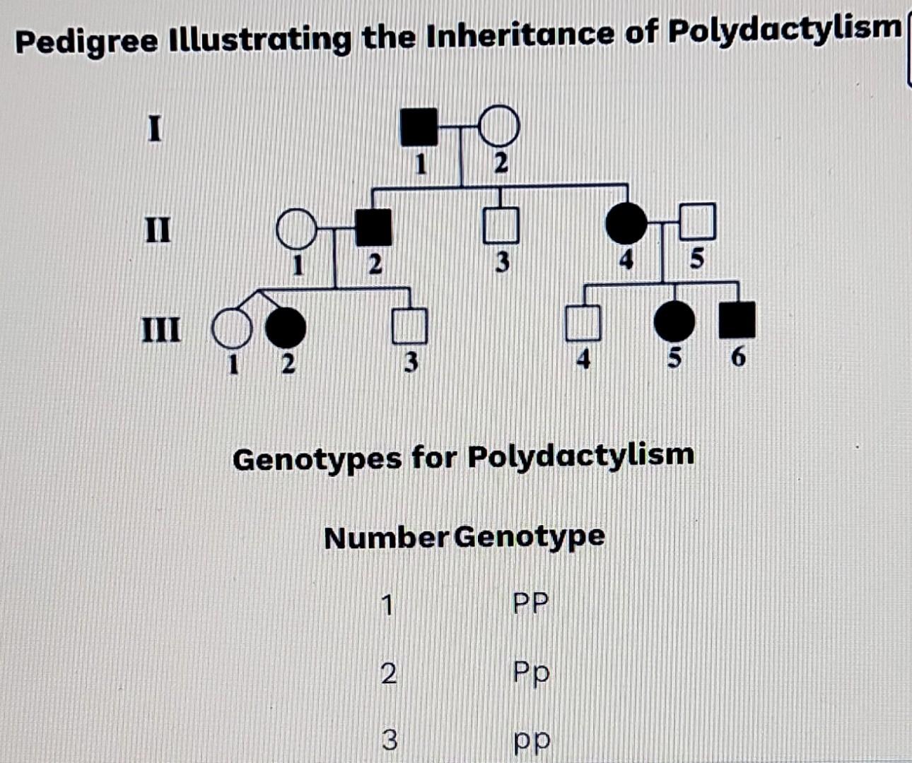 Use the following information to answer the next | Chegg.com