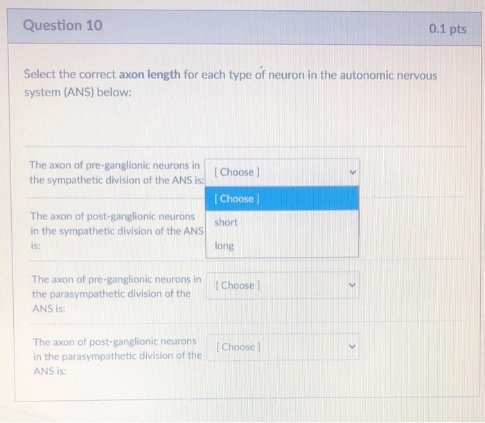 Solved Question 10 0.1 pts Select the correct axon length | Chegg.com
