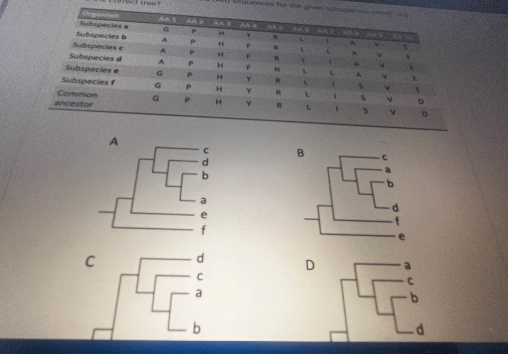Solved CTree DTree ATree CNone of the trees depicted is | Chegg.com