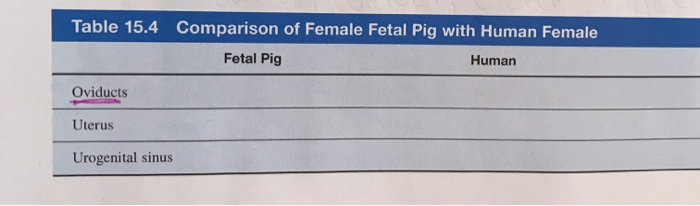 Solved Table 15.4 Comparison of Female Fetal Pig with Human | Chegg.com