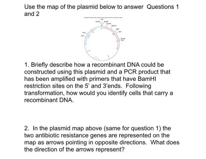 Use the map of the plasmid below to answer Questions | Chegg.com