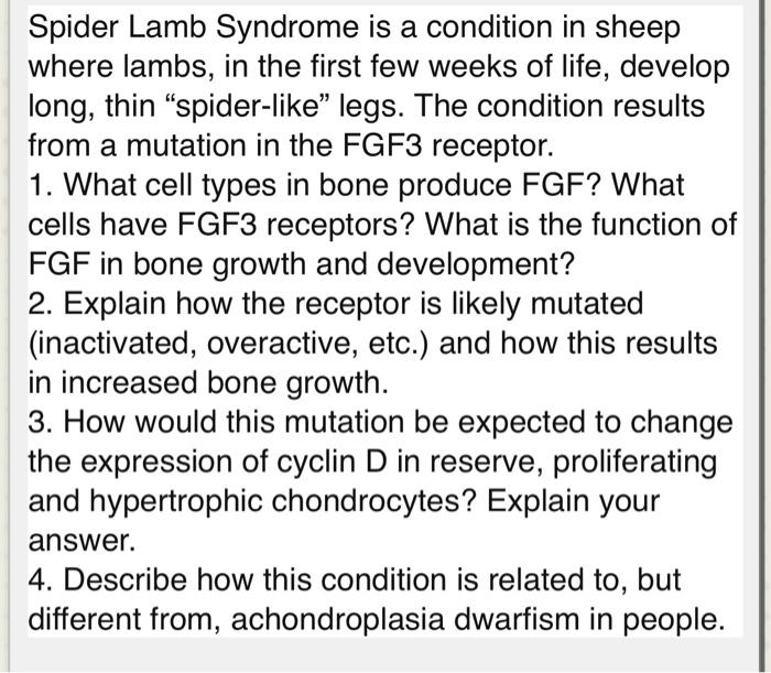 Spider Lamb Syndrome is a condition in sheep where | Chegg.com