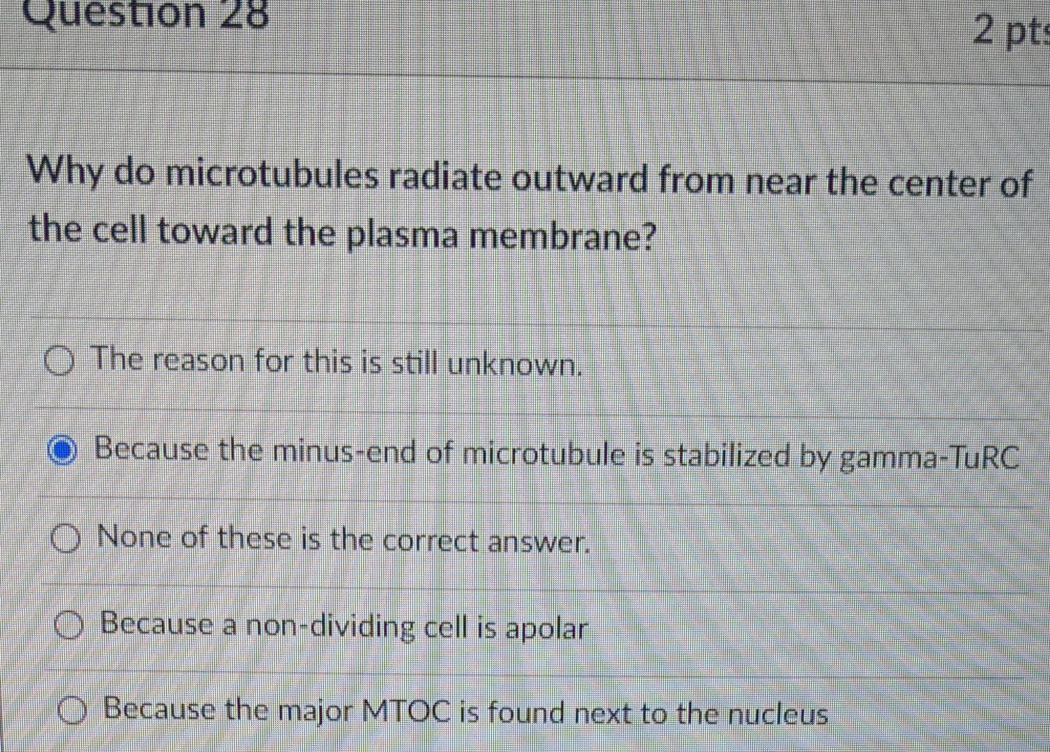 Solved Question 28 2 pts Why do microtubules radiate outward | Chegg.com