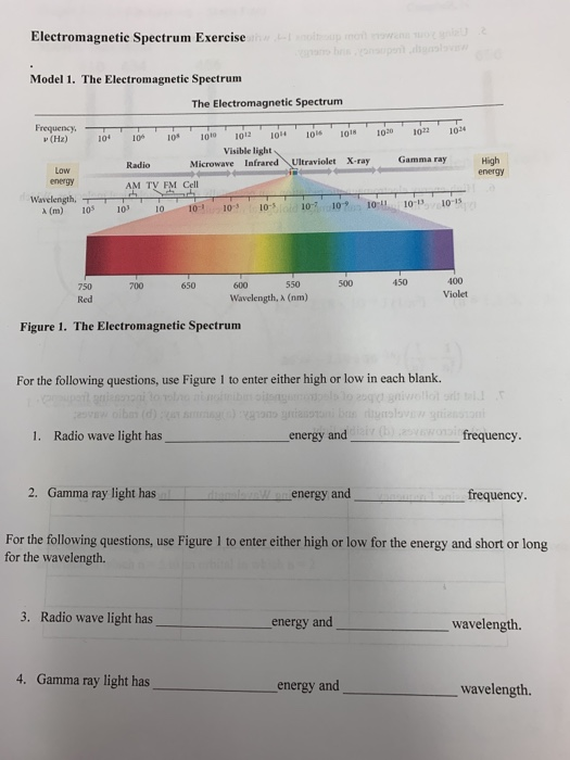 Solved Electromagnetic Spectrum Exercise e c Model 1. The | Chegg.com