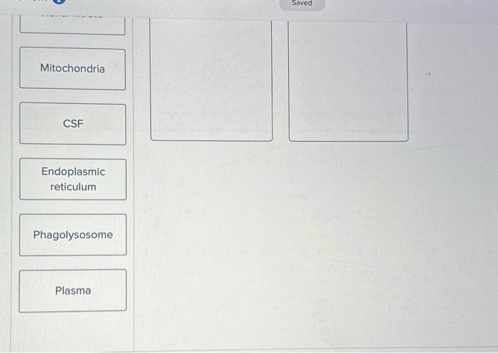 Solved Identify the type of fluid or the fluid compartment | Chegg.com