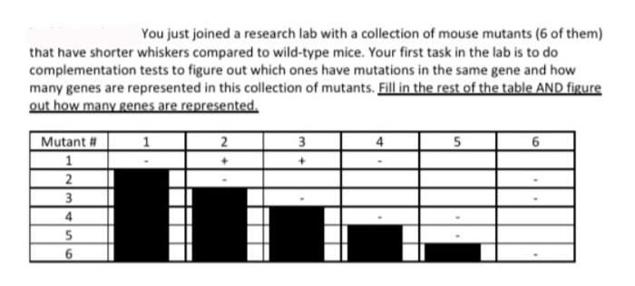Solved You just joined a research lab with a collection of | Chegg.com