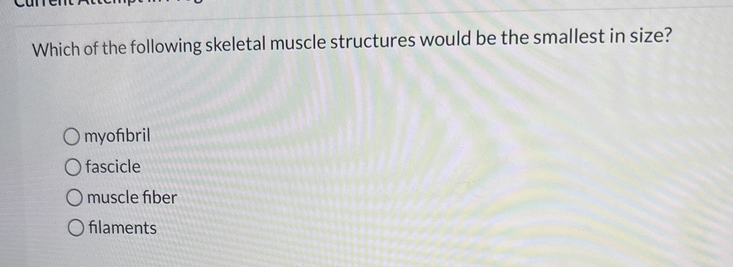 Solved Which of the following skeletal muscle structures | Chegg.com