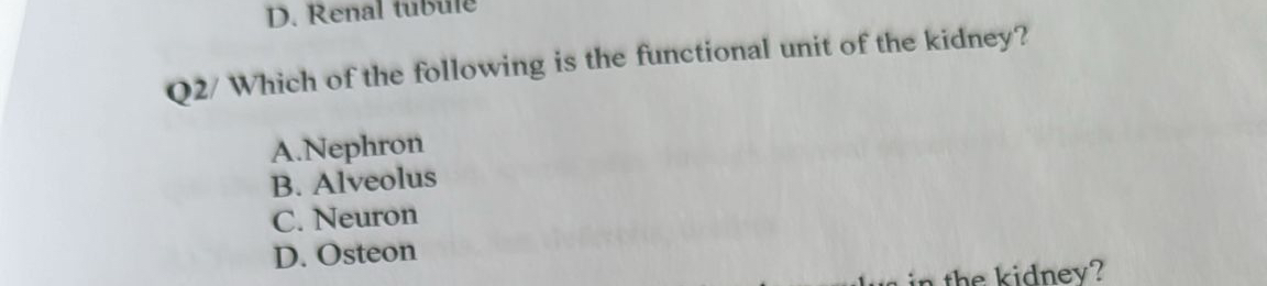 Solved Q2/ ﻿Which of the following is the functional unit of | Chegg.com