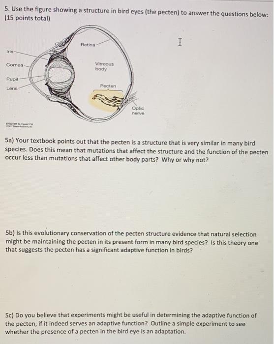 5. Use the figure showing a structure in bird eyes | Chegg.com