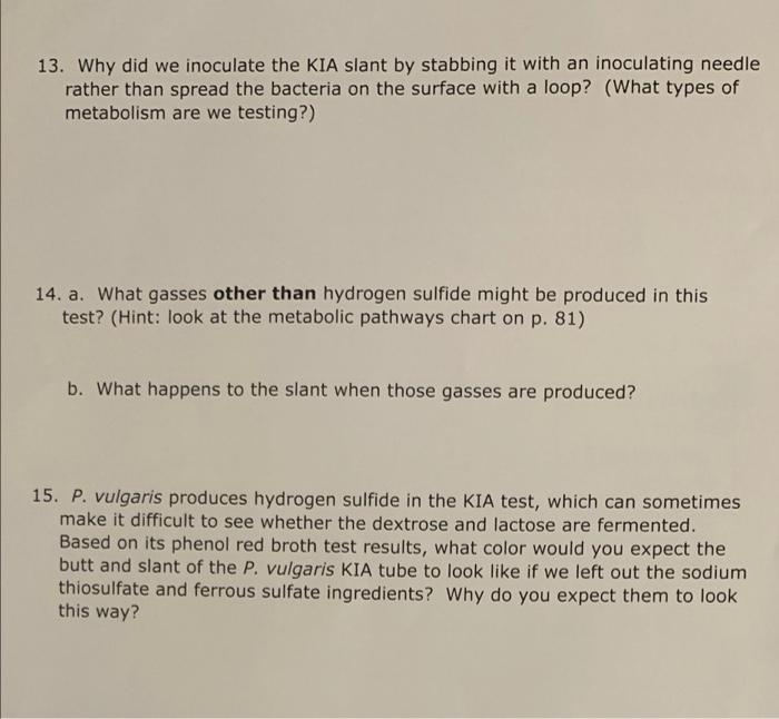 Solved 13. Why did we inoculate the KIA slant by stabbing it | Chegg.com