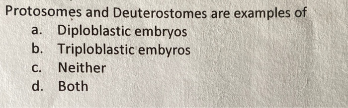Solved Protosomes and Deuterostomes are examples of a. | Chegg.com