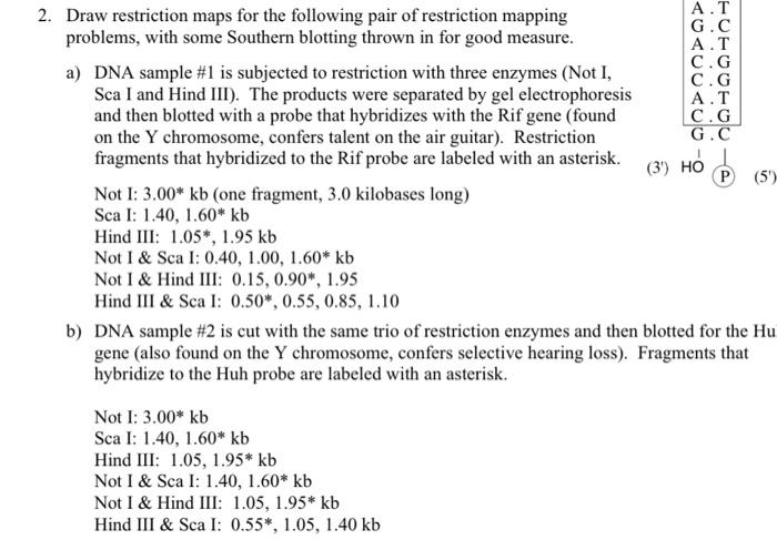 Solved 2. Draw restriction maps for the following pair of | Chegg.com