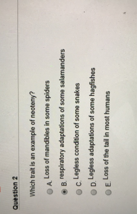 Solved Question 2 Which trait is an example of neoteny? OA | Chegg.com