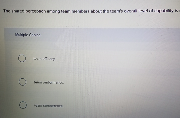Solved The shared perception among team members about the | Chegg.com