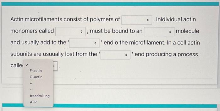 Solved Actin microfilaments consist of polymers of . | Chegg.com