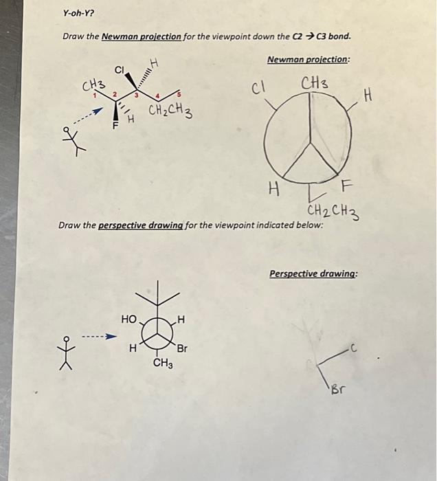 Solved Draw the Newman projection for the viewpoint down the | Chegg.com