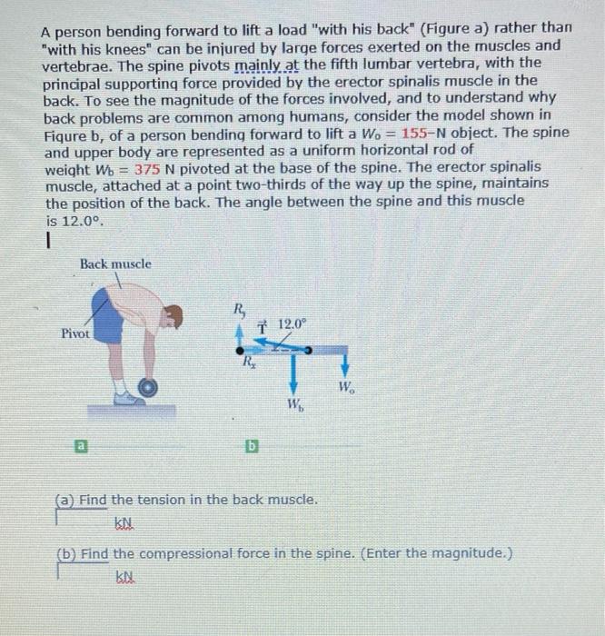Solved A person bending forward to lift a load "with his | Chegg.com
