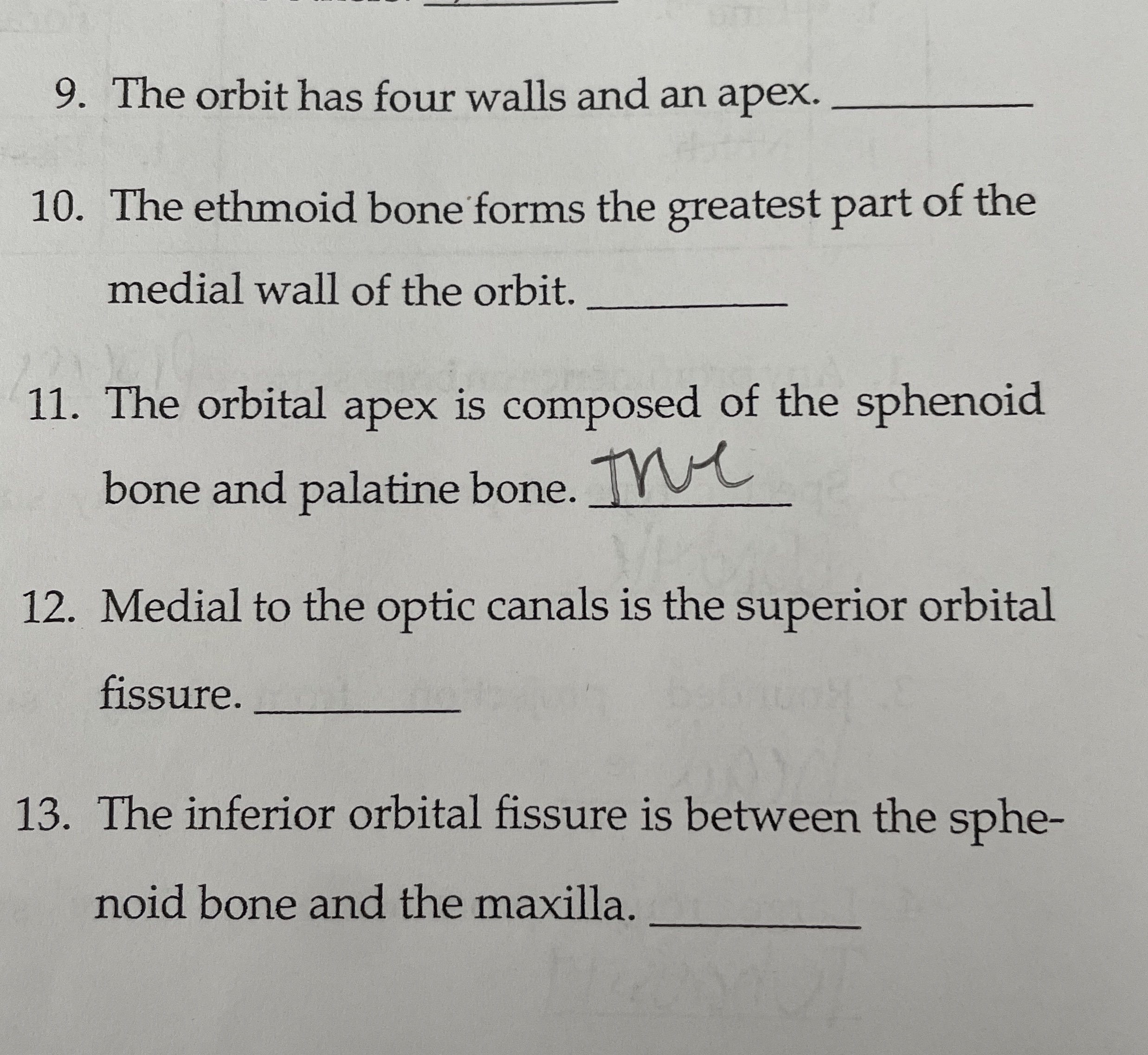 Solved The orbit has four walls and an apex.The ethmoid bone | Chegg.com
