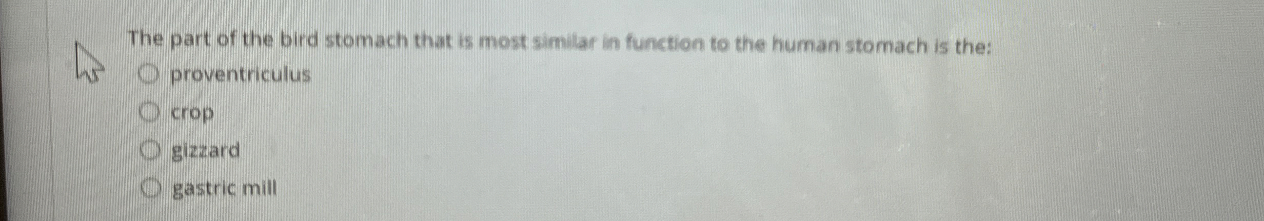 Solved The part of the bird stomach that is most similar in | Chegg.com
