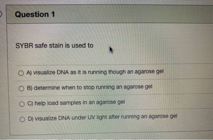 Solved Question 1 SYBR safe stain is used to A) visualize | Chegg.com