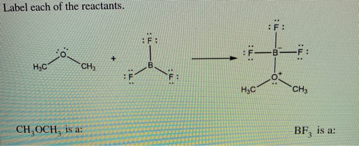 Solved Label each of the reactants. . В. + - НАС CHE B H3C | Chegg.com