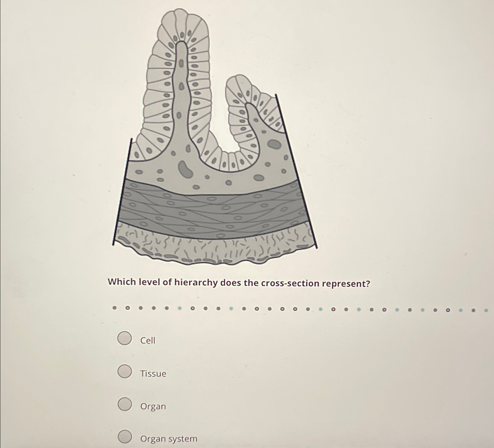 Solved Which level of hierarchy does the cross-section | Chegg.com