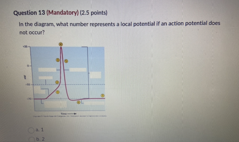 Solved Question 13 (Mandatory) (2.5 ﻿points)In the diagram, | Chegg.com