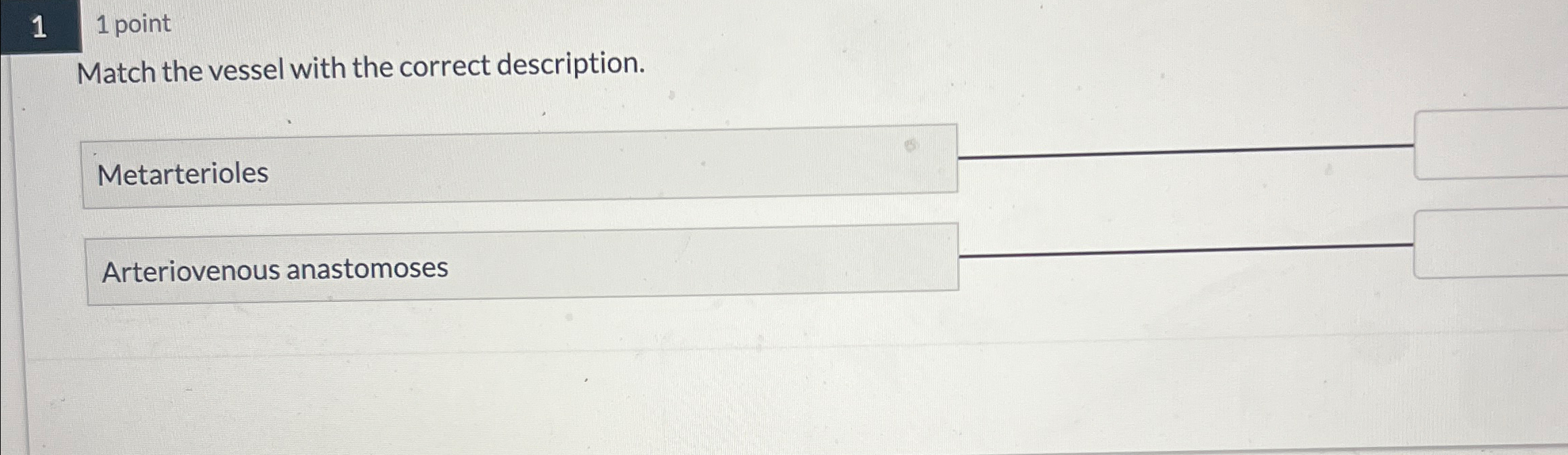 Solved 1,1 ﻿pointMatch the vessel with the correct | Chegg.com